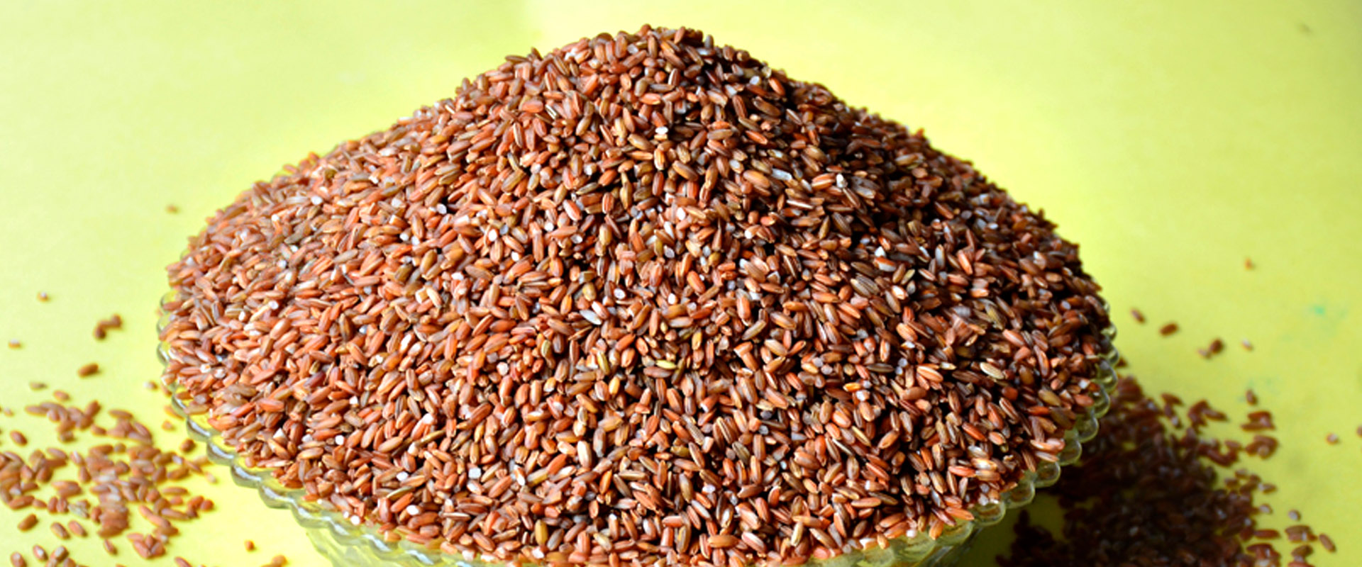 Navara Eco Farm – Unny's Navara Eco Farm